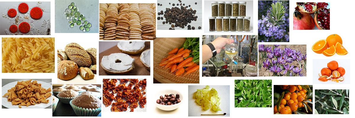 Innovative food process and product development – KPAD